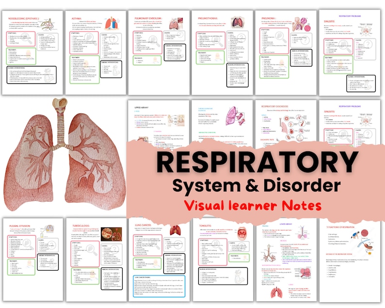 Respiratory System Disorders, Med Surg, Pharmacology Notes, Nursing ...