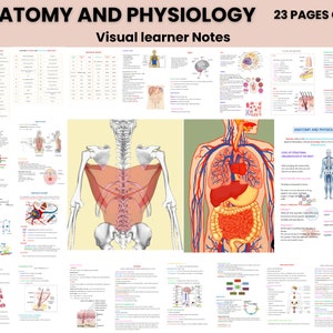 Complete Anatomy and Physiology Nursing, Anatomy Study Guide, Anatomy ...