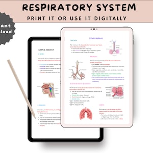 Respiratory System Disorders, Med Surg, Pharmacology Notes, Nursing ...