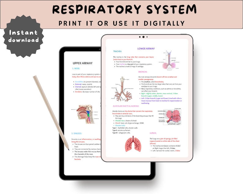 Respiratory System Disorders, Med Surg, Pharmacology Notes, Nursing ...