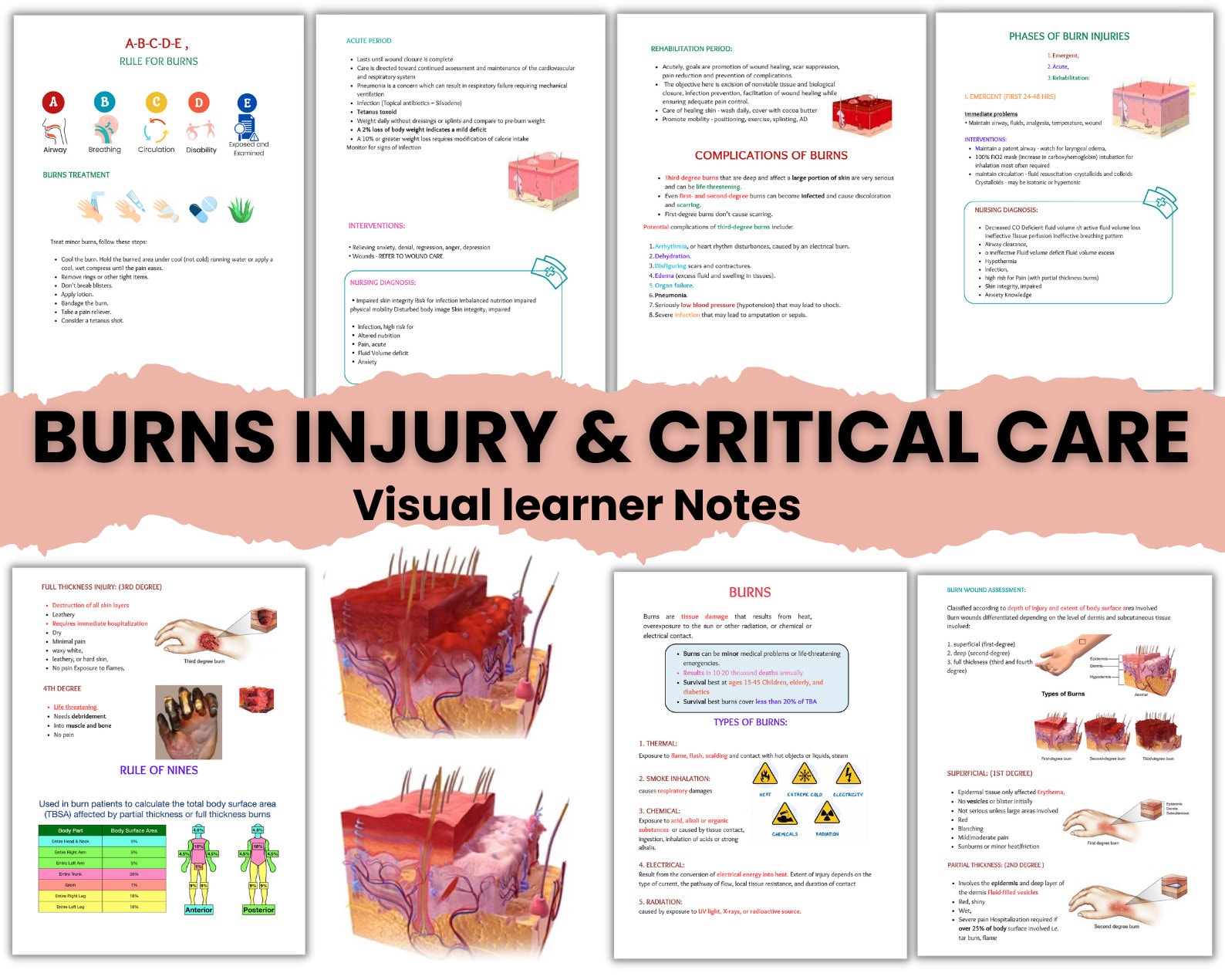 Med-surg Study Guide Bundle- Medical-surgical-nursing Study Guide ...
