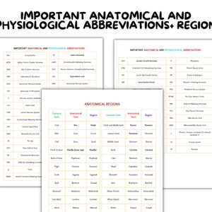 Complete Anatomy and Physiology Nursing, Anatomy Study Guide, Anatomy ...