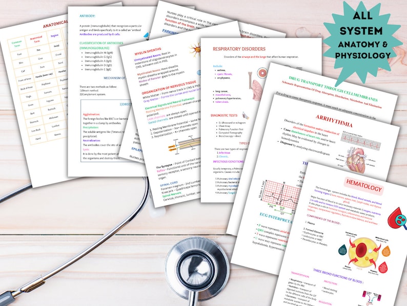 Ultimate Anatomy and Physiology, Anatomy Study Guide, Anatomy Notes ...