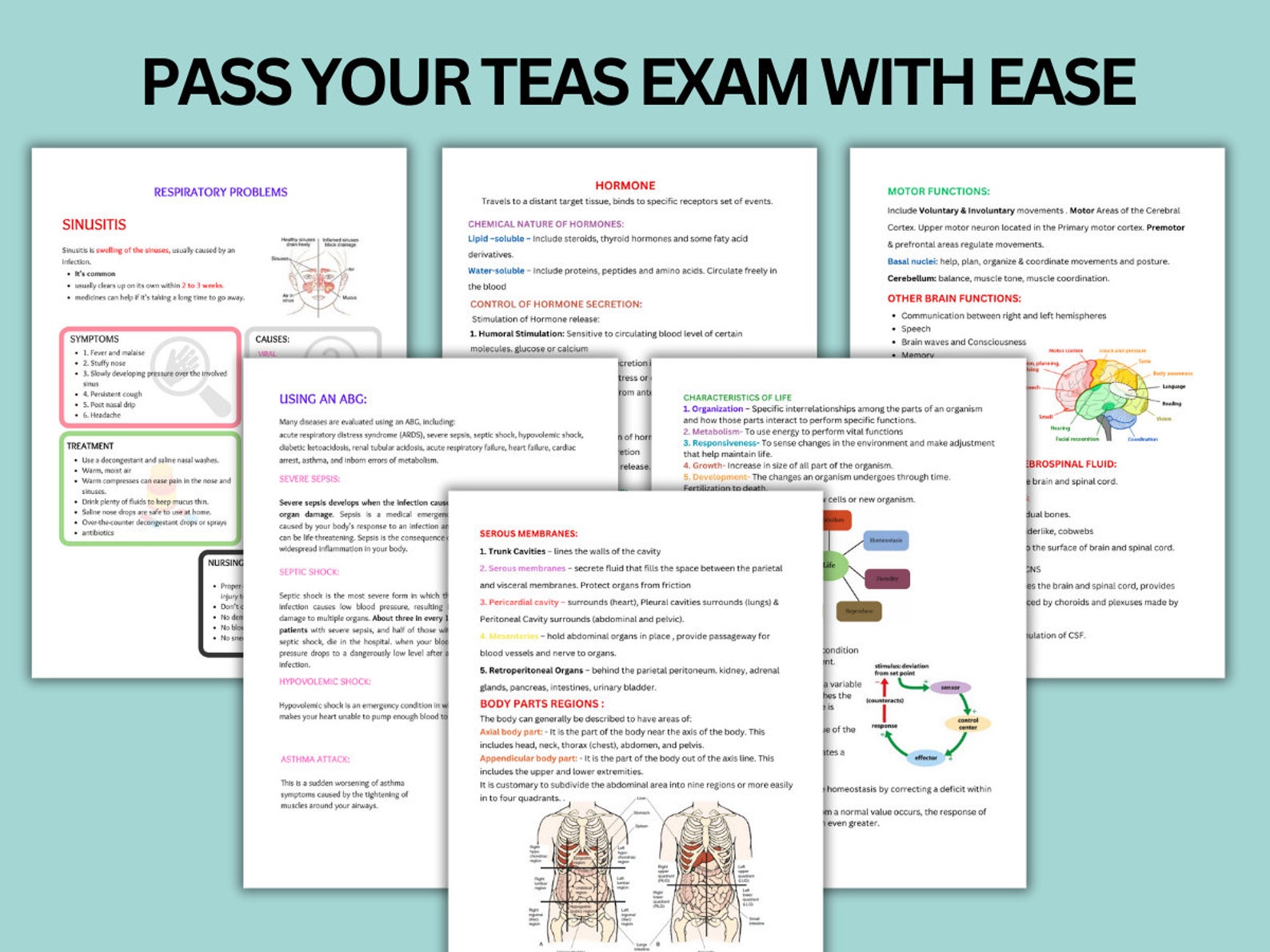 Complete ATI Teas 7 Study Guide 2024 Updated- ATI TEAS 7 Study Cheat ...