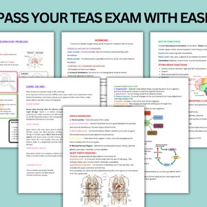 Complete ATI Teas 7 Study Guide 2024 Updated- ATI TEAS 7 Study Cheat ...
