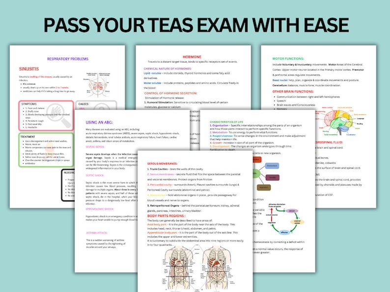Complete ATI Teas 7 Study Guide 2024 Updated- ATI TEAS 7 Study Cheat ...