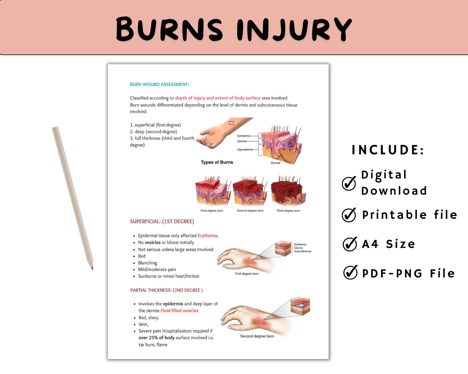 Burns Cheat Sheet- Burns Study Guide- Nursing Study Notes- Nursing ...