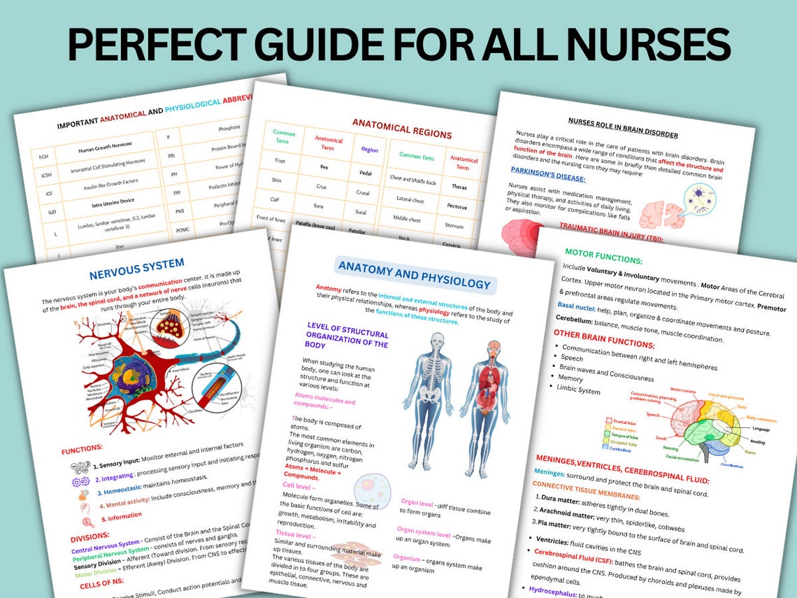 Ultimate Anatomy and Physiology, Anatomy Study Guide, Anatomy Notes ...