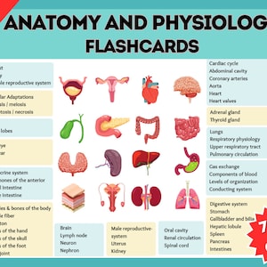 Diabetes Study Guide Med Surg Nursing School Notes Diabetes Mellitus ...