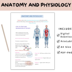 Complete Anatomy and Physiology Nursing, Anatomy Study Guide, Anatomy ...