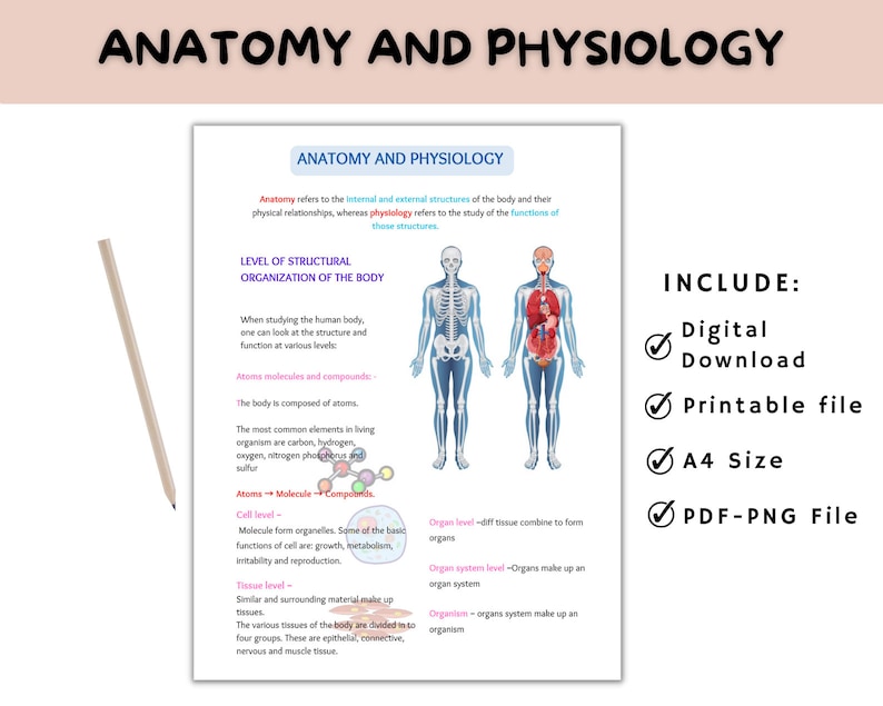 Complete Anatomy and Physiology Nursing, Anatomy Study Guide, Anatomy ...