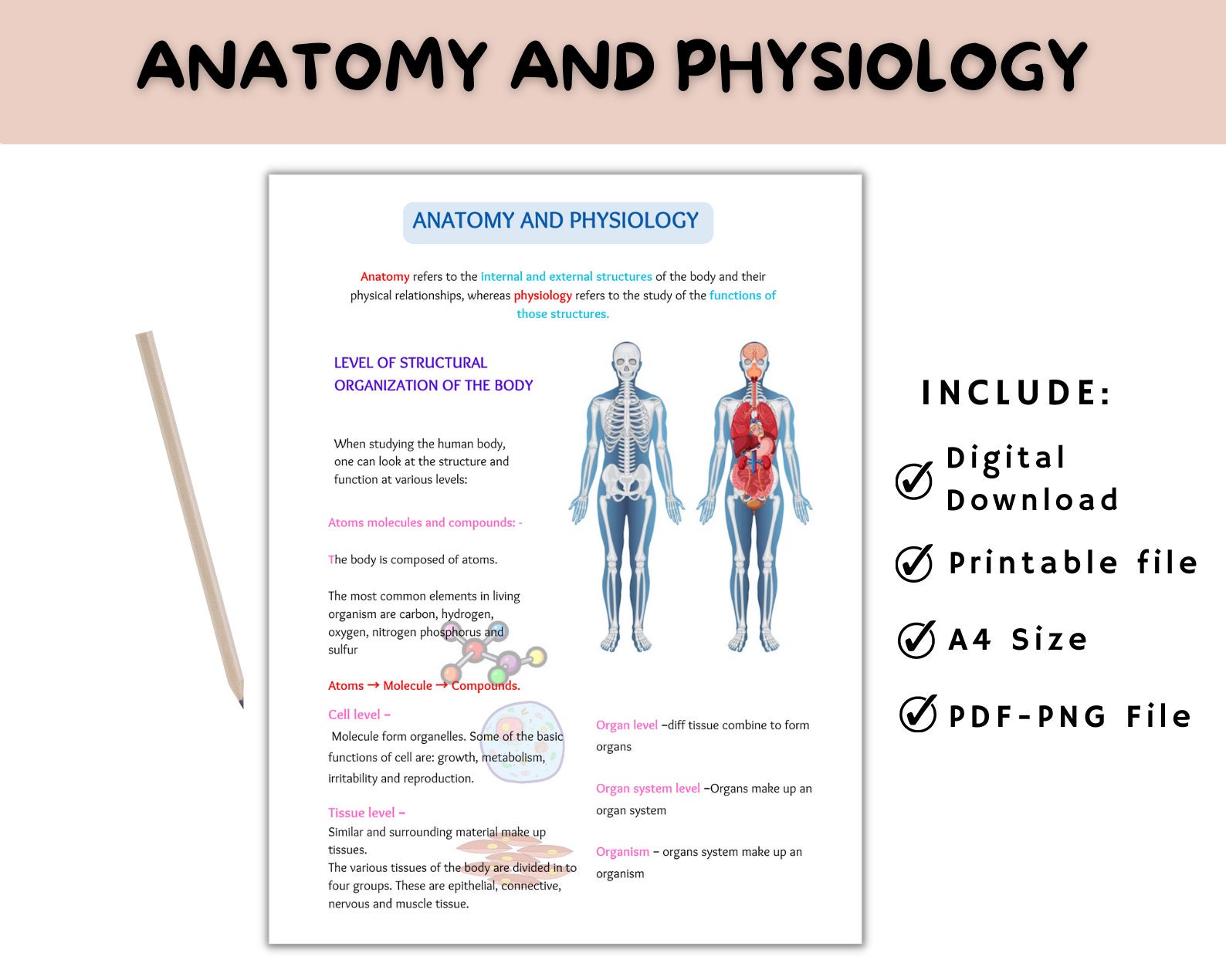 Complete Anatomy and Physiology Nursing, Anatomy Study Guide, Anatomy ...