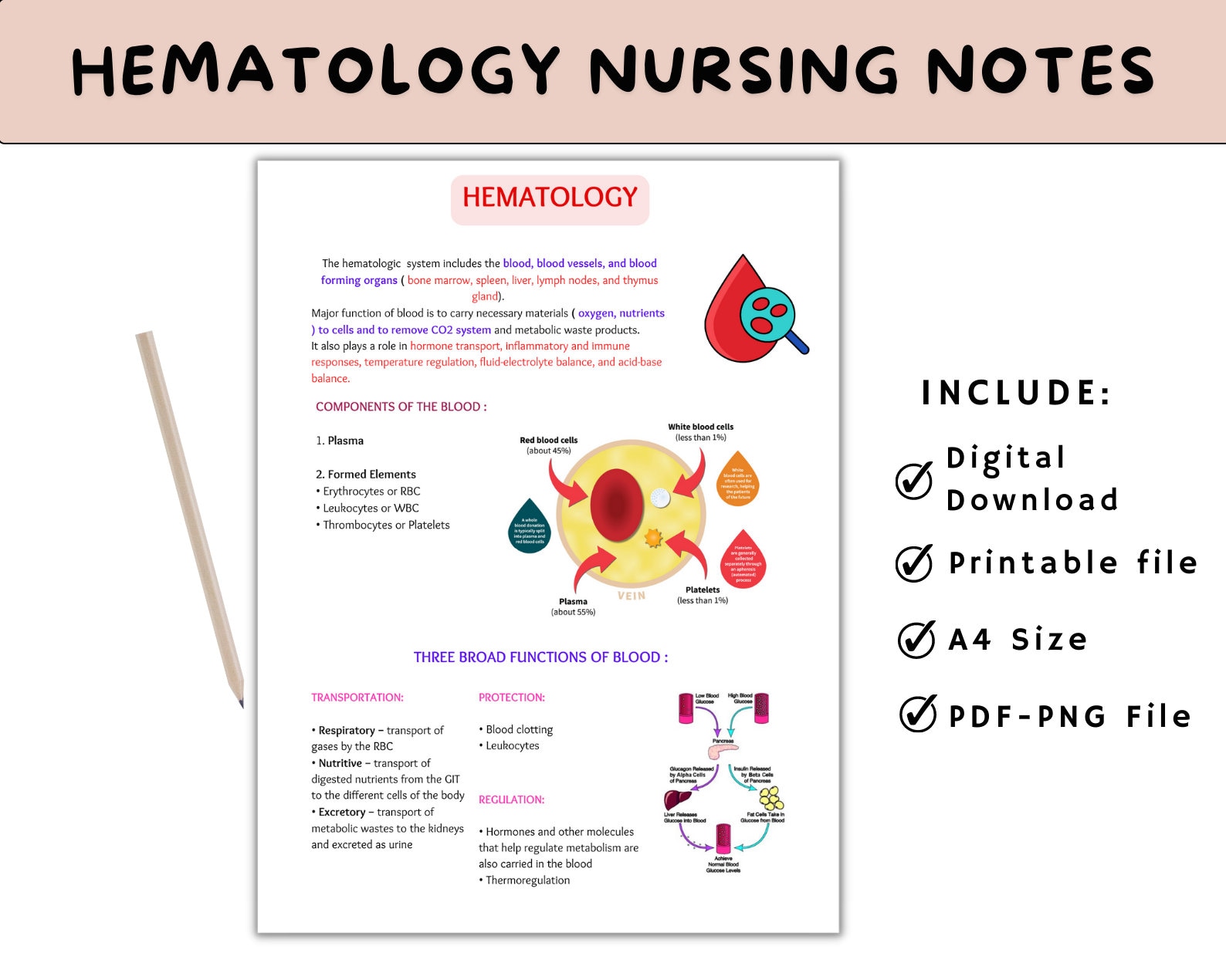 Hematology Disorders Nursing Study Guide Med Surg Study Guide ...
