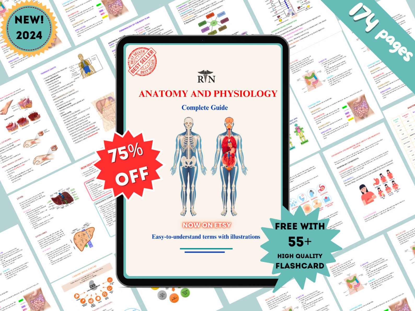 Ultimate Anatomy and Physiology, Anatomy Study Guide, Anatomy Notes ...