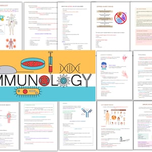 Immune System Study Notes- Anatomy and Physiology- Immunity- Med Surg ...