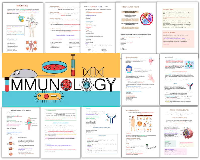 Immune System Study Notes- Anatomy and Physiology- Immunity- Med Surg ...