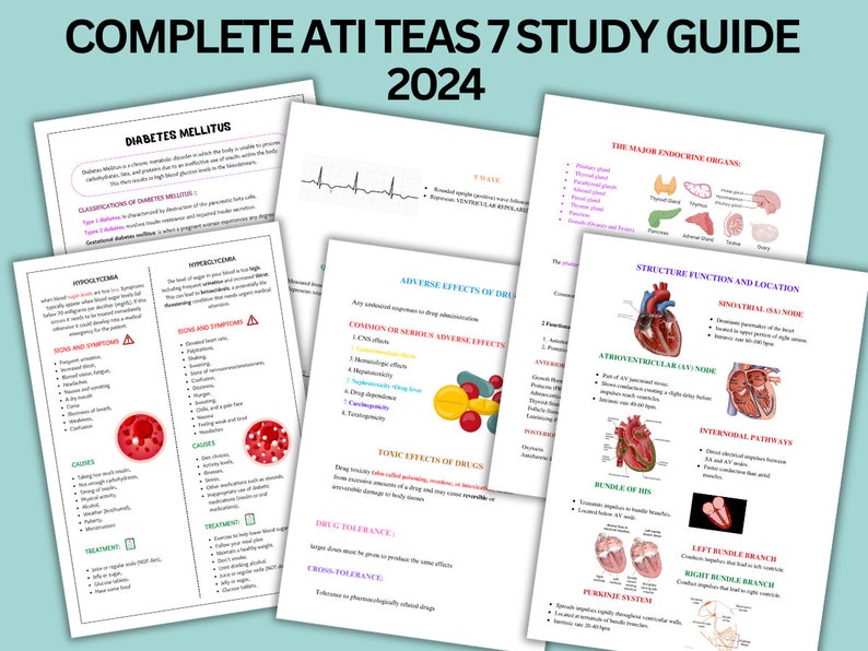 Complete ATI Teas 7 Study Guide 2024 Updated- ATI TEAS 7 Study Cheat ...