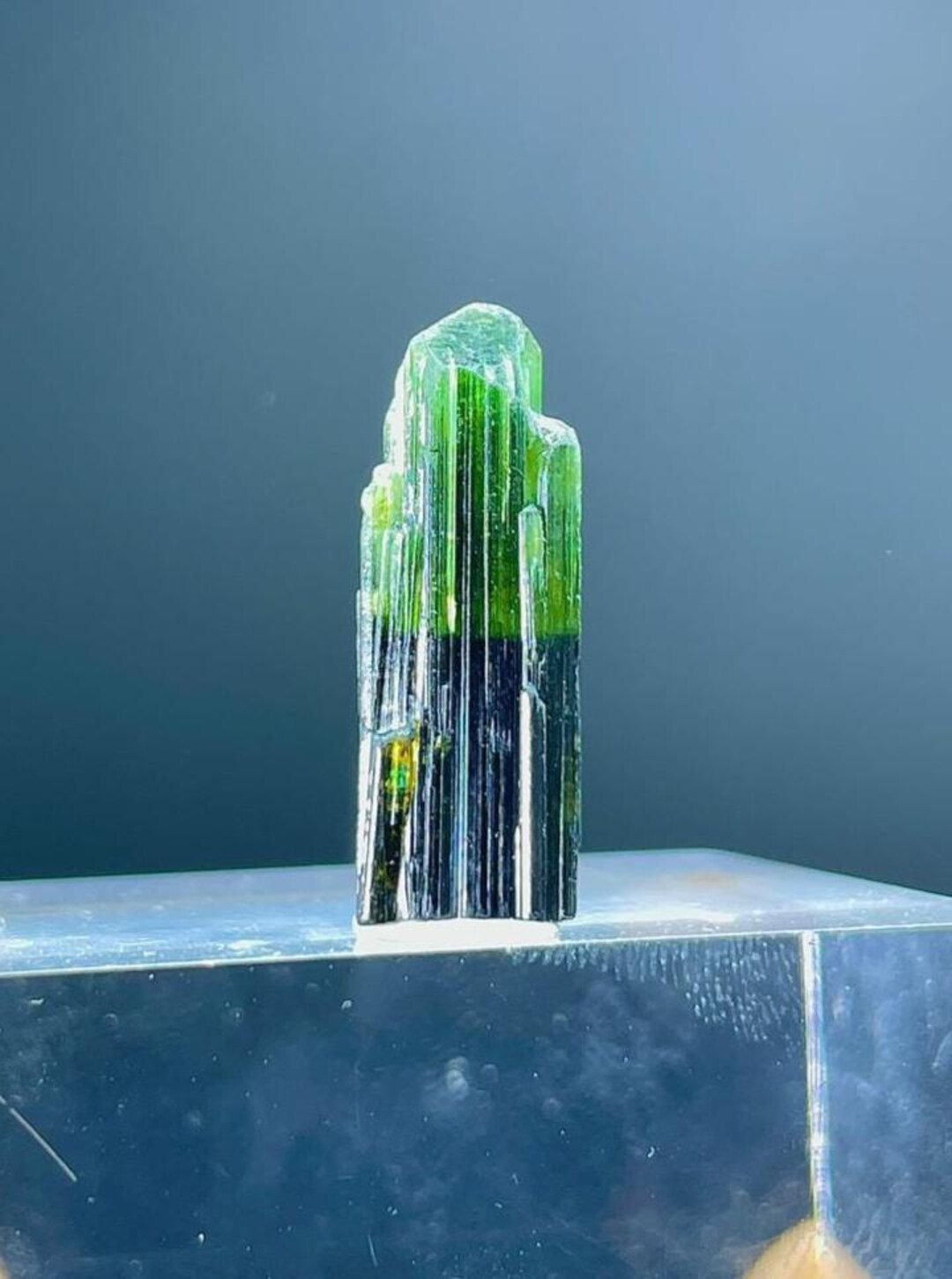 9.50 Carats Natural Terminated Green Cap Tourmaline Crystal, Raw ...