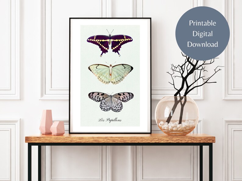 Les Papillons Art Print, Butterfly Wall Art, Vintage Butterfly Print ...