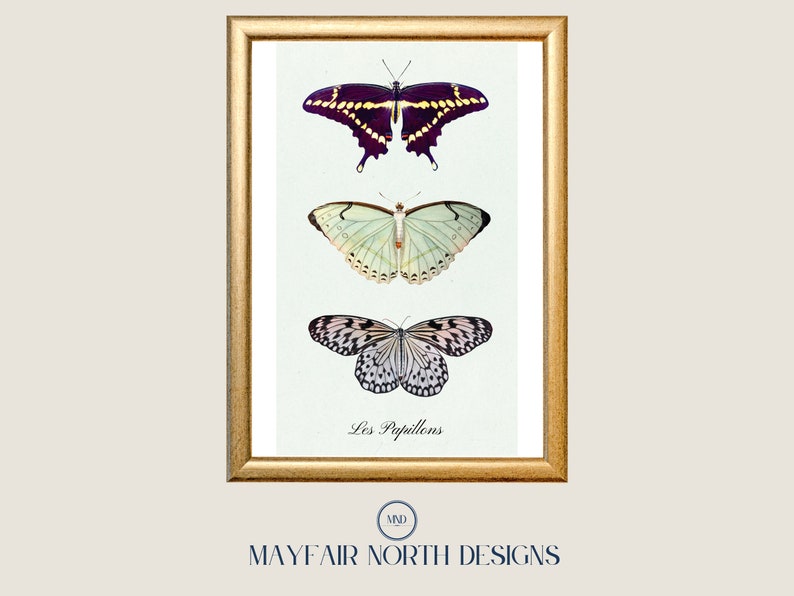 Les Papillons Art Print, Butterfly Wall Art, Vintage Butterfly Print ...
