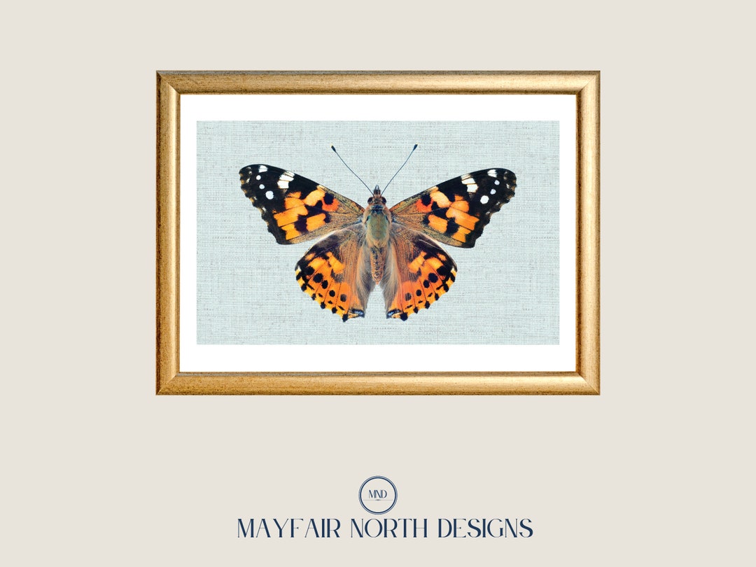 Monarch Butterfly Wall Art Print, Digital Download Butterfly Art ...