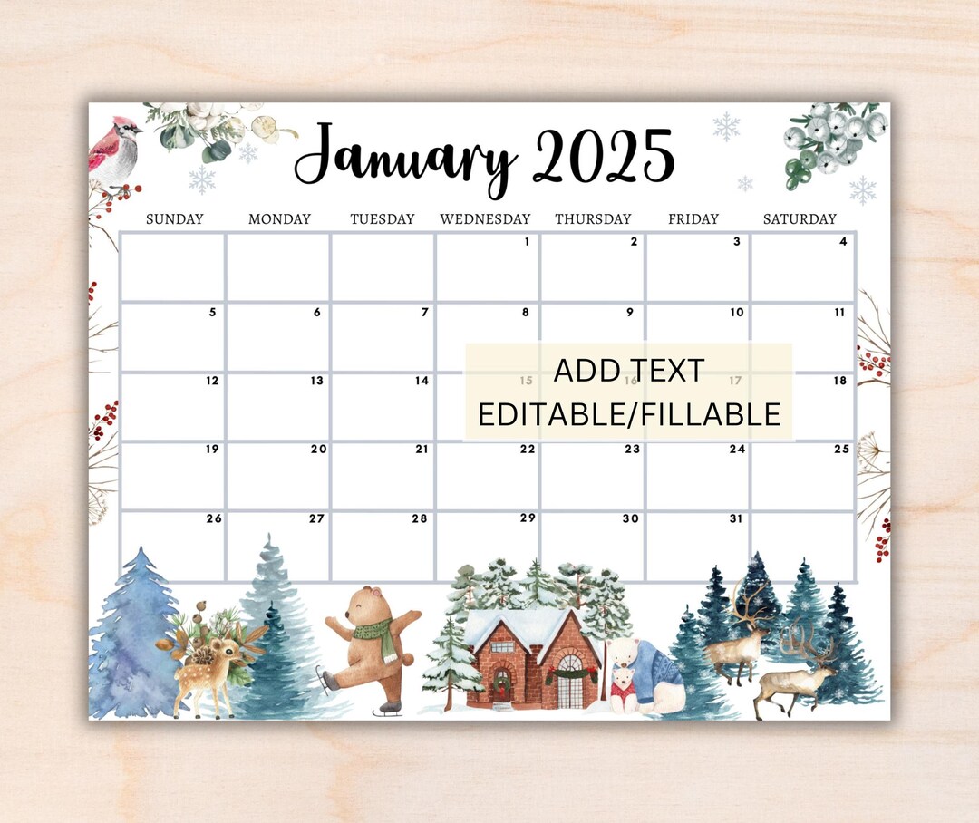 EDITABLE January 2025 Calendar, Fillable Printable January Planner W ...