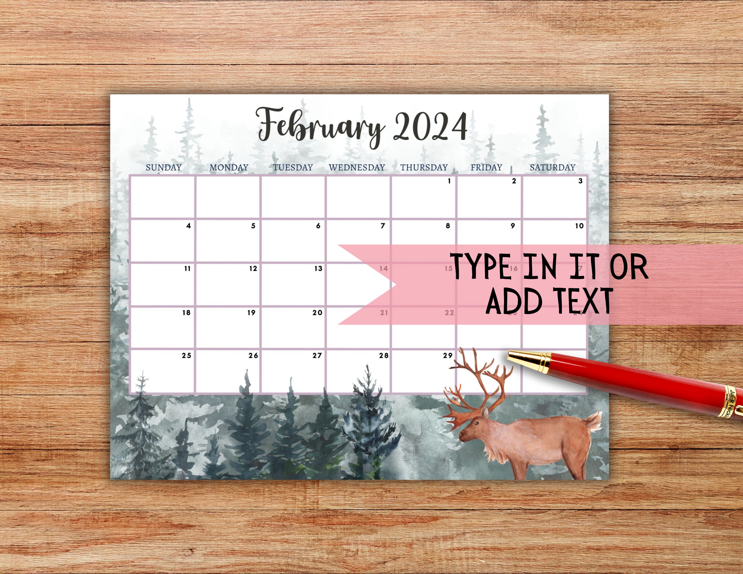 Editable February 2024 Calendar, Printable February Planner, Spring ...