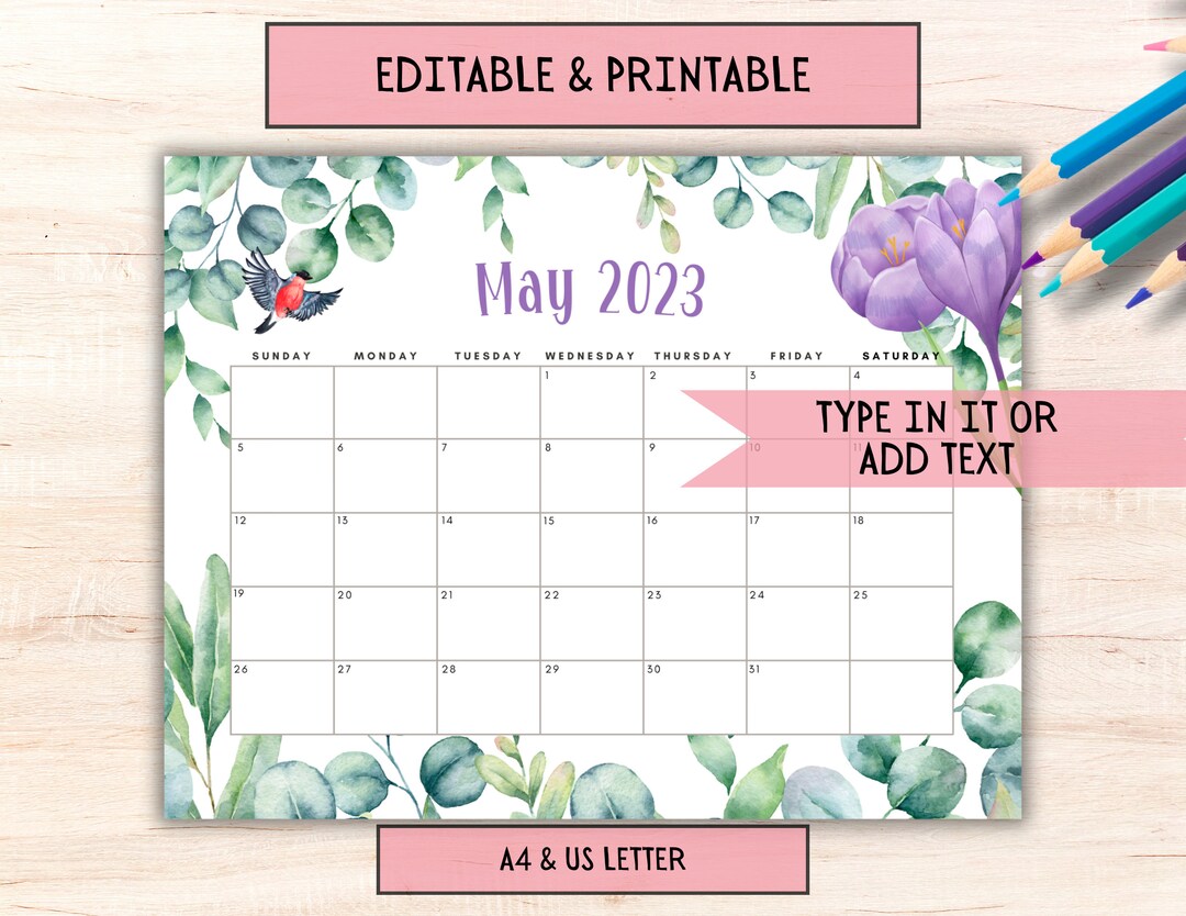 EDITABLE May 2024 Calendar Printable Fillable Monthly Calendar for May ...