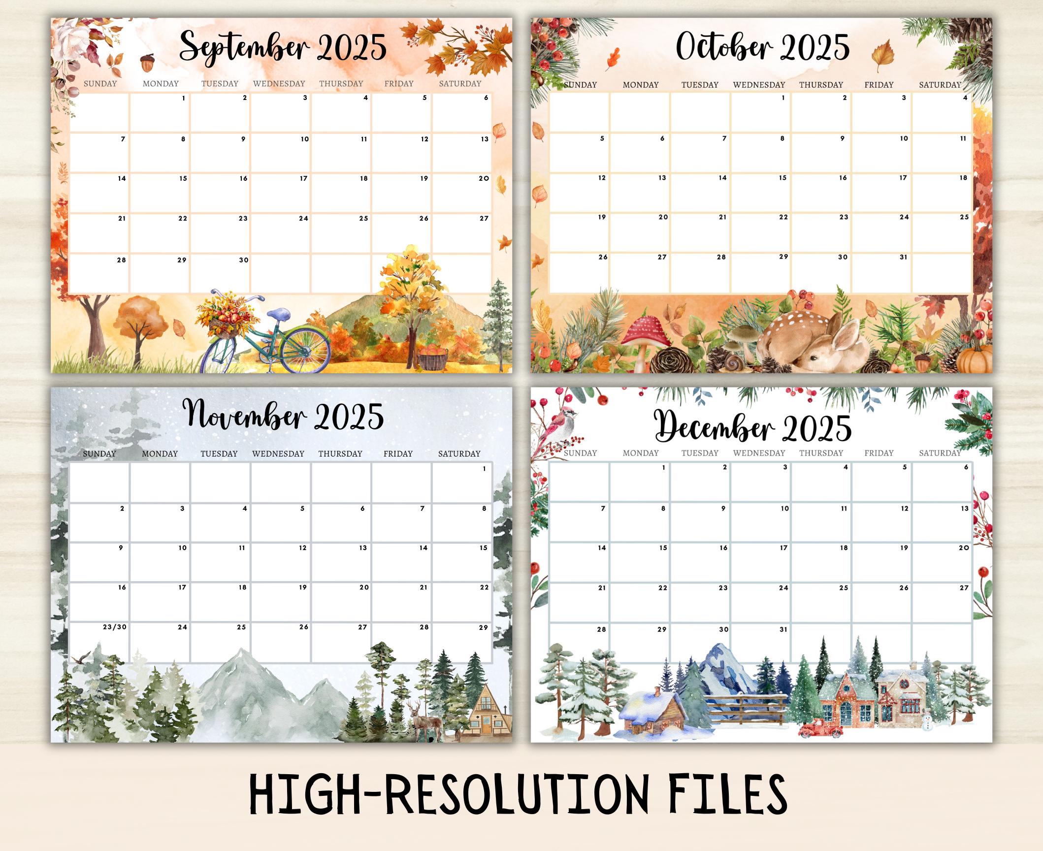 EDITABLE 2025 Calendar Bundle, Fillable Calendar, Cute Printable ...