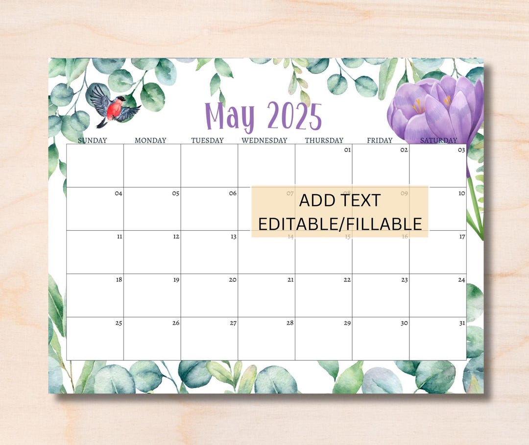 EDITABLE May 2025 Calendar, Printable Wall Calendar 2025, Calendar for ...