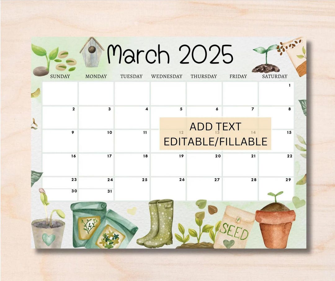 EDITABLE March 2025 Calendar, Fillable Monthly Planner for March ...