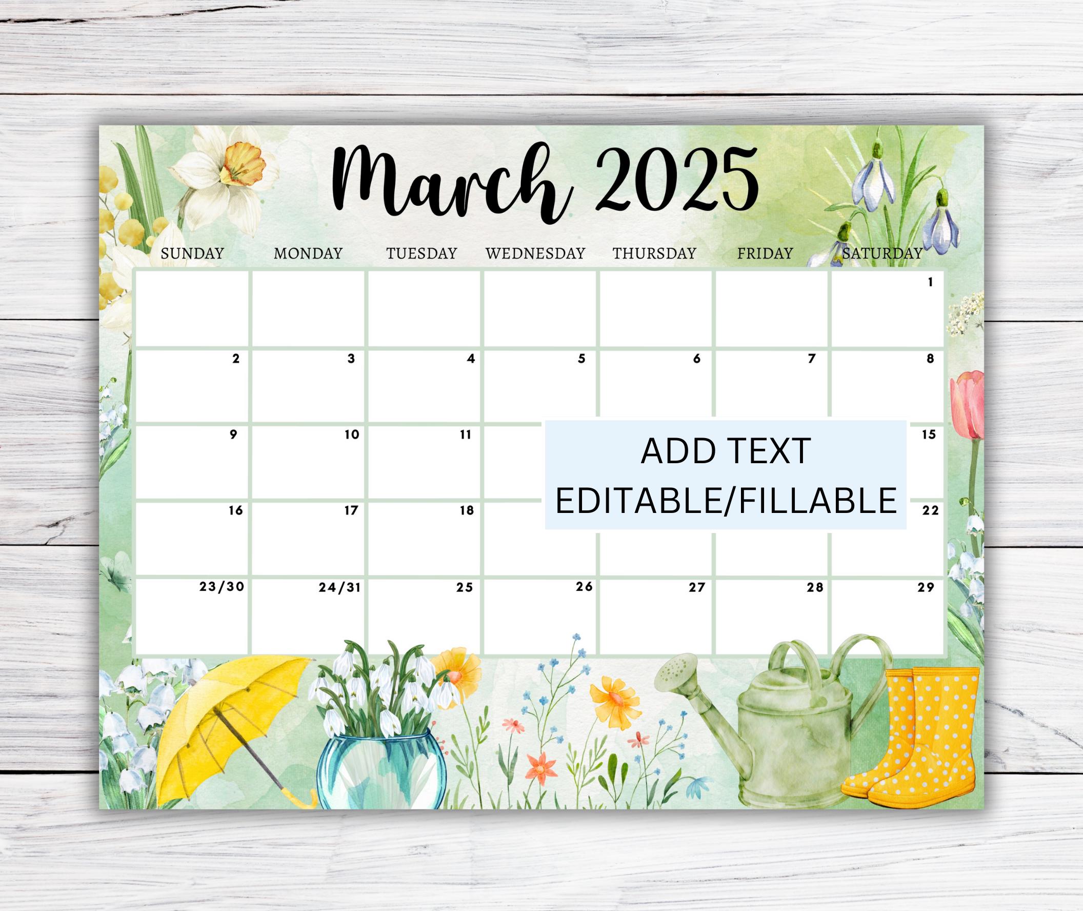 EDITABLE March 2025 Calendar, Printable Fillable Monthly Calendar for ...