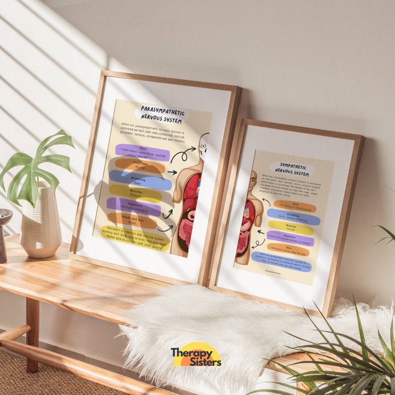 Teen Anxiety Nervous System Poster | School Counseling Signs ...