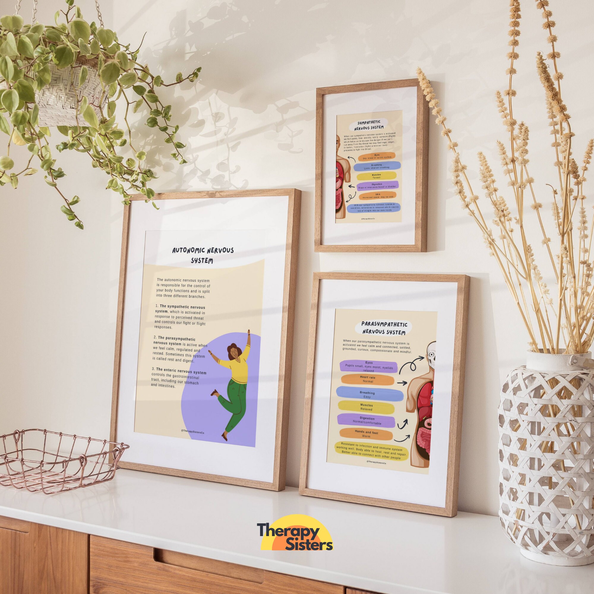 Teen Anxiety Nervous System Poster School Counseling Signs - Etsy