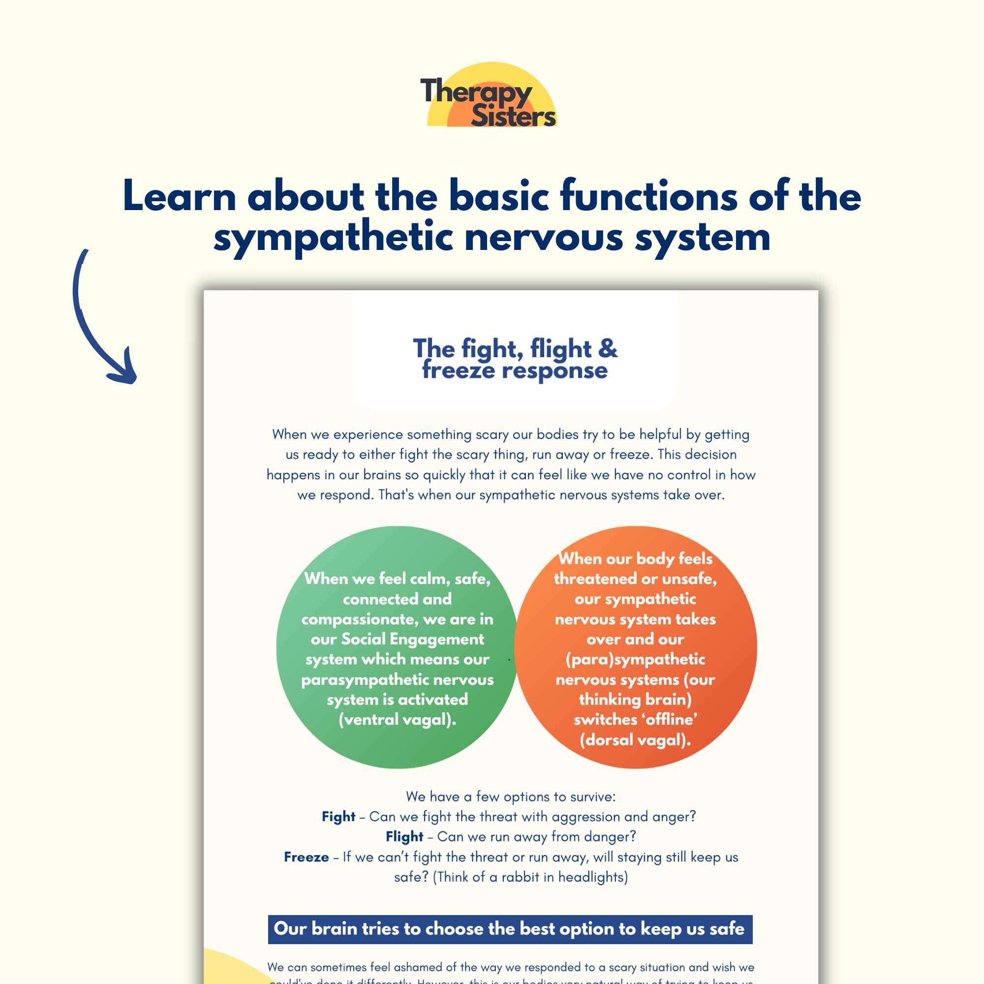 Fight, Flight or Freeze Response PTSD Trauma Journal Printable CBT ...