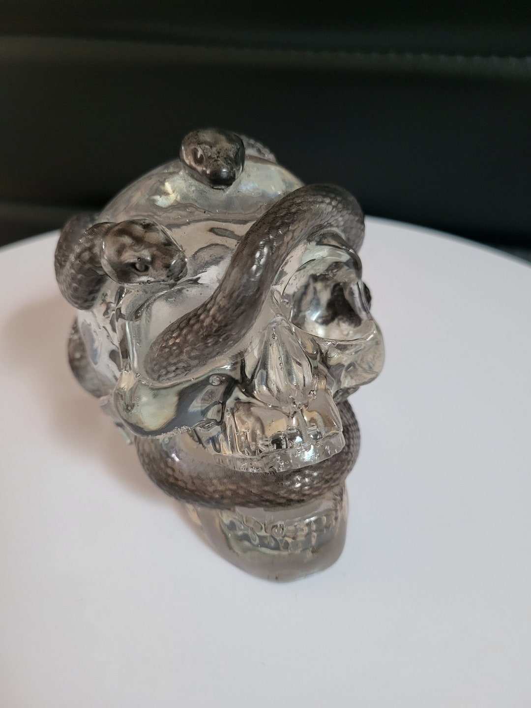 A Skull With a Snake Emerging From Its Eye Socket and Coiling Around ...