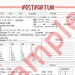Postpartum Report Sheet extra Baby Report Sheet Included - Etsy Canada