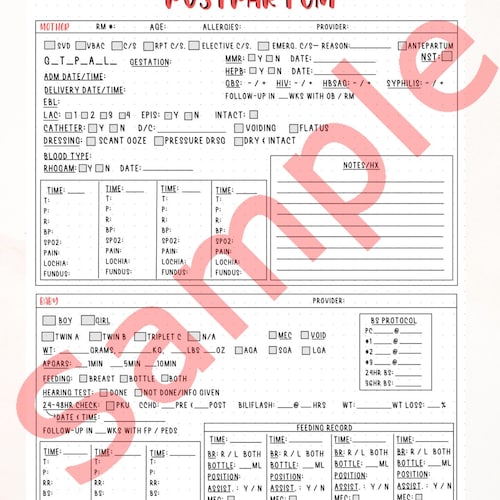 Postpartum Report Sheet extra Baby Report Sheet Included - Etsy