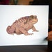 Colorful Toad Print Based on Original Marker and Pen Drawing - Etsy