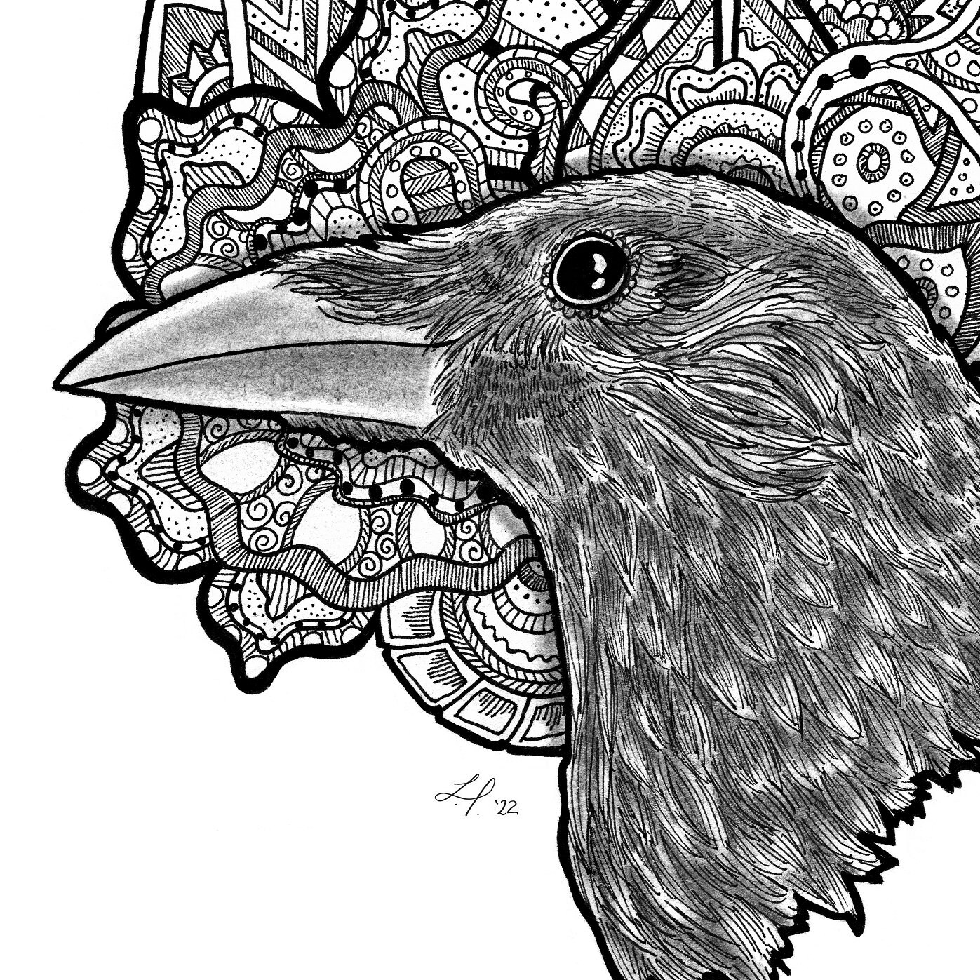 Mandala Crow Archival Print From Original Pencil and Ink Drawing - Etsy