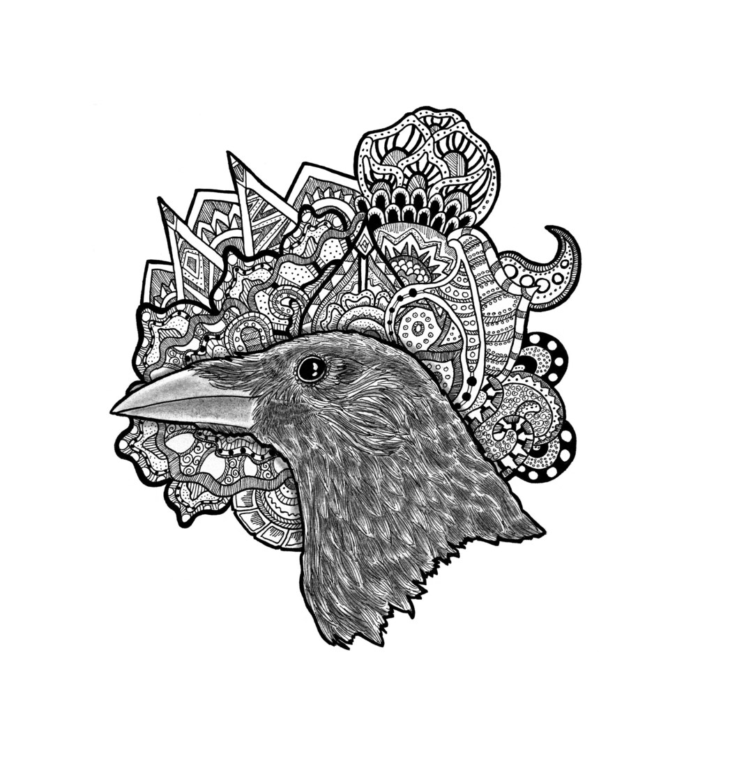 Mandala Crow Archival Print From Original Pencil and Ink Drawing - Etsy