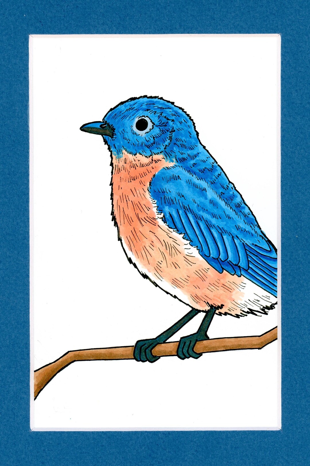 Bluebird Original Drawing, Ready to Frame - Etsy