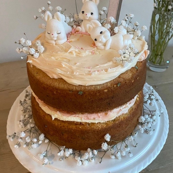 Bunny Cake Topper - Etsy