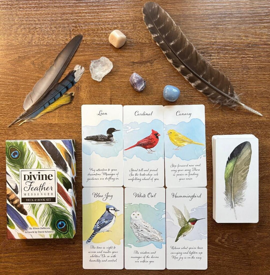Divine Feather Angelic Messages - Card Pull Only - Future Predictions ...