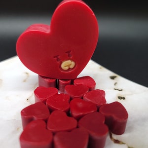 Custom BTS Wax Melts 3 Oz Bags | Chimmy | Koya | Van | Tata | Mang | RJ ...