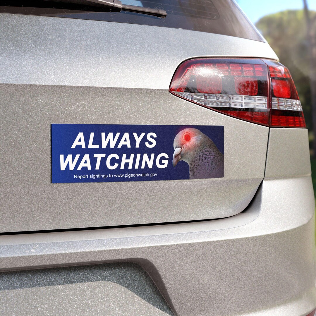 Government Pigeon Drone Watch Bumper Magnet - Etsy