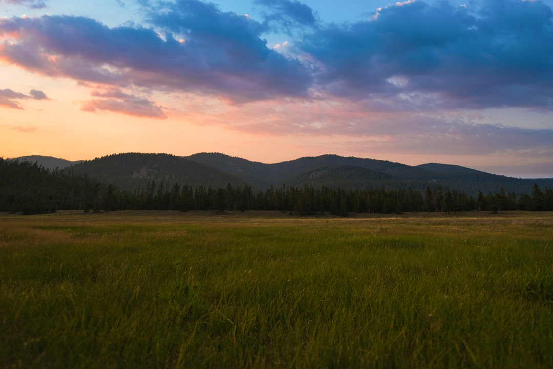 Grass Field Sunset | Yellowstone Landscape Photography | Acrylic Wall ...