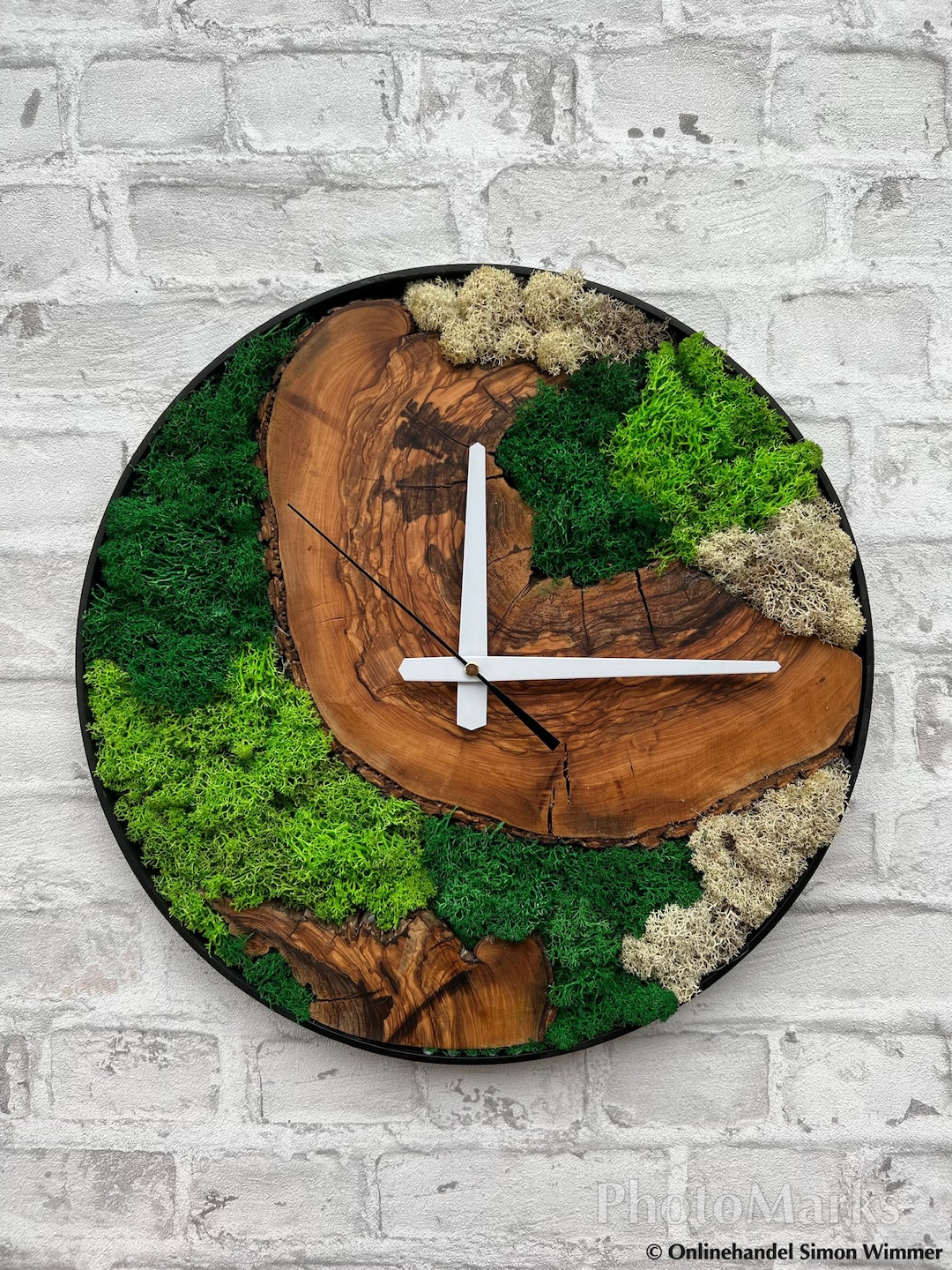 Plant Moss and Olive Wood Clock, Rustic Tree Slice Wall Clock With Live ...