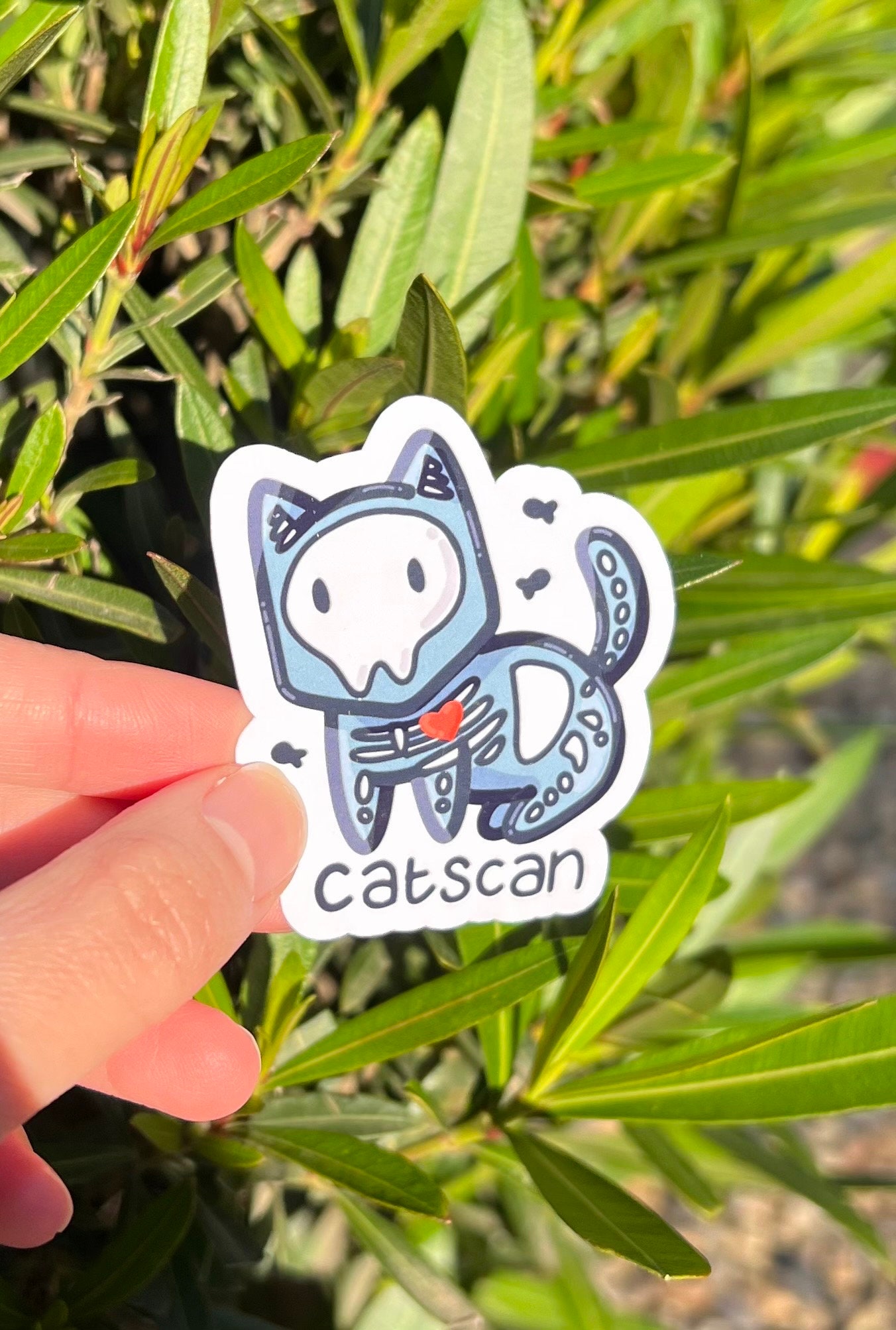 Catscan Cute X-ray Cat Vinyl Water Resistant Sticker - Donation to RAD ...