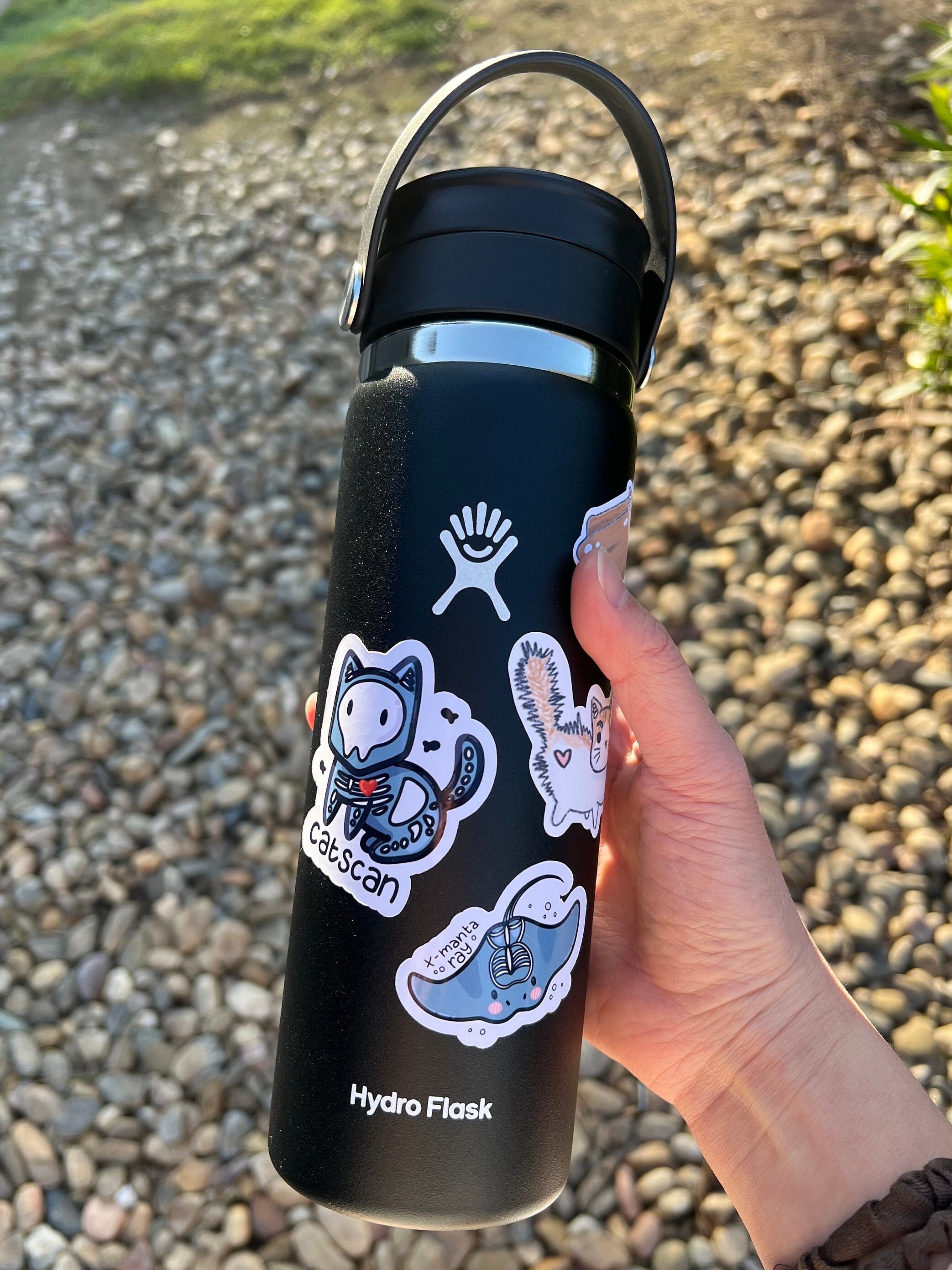 Catscan Cute X-ray Cat Vinyl Water Resistant Sticker - Donation to RAD ...